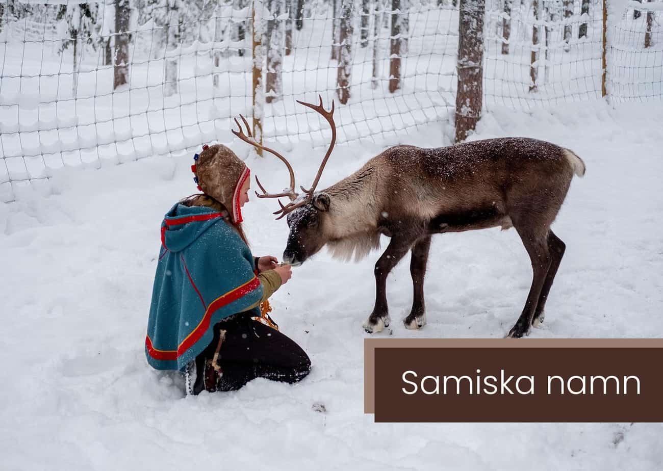 Samiska namn – Namntema – Allt om namn